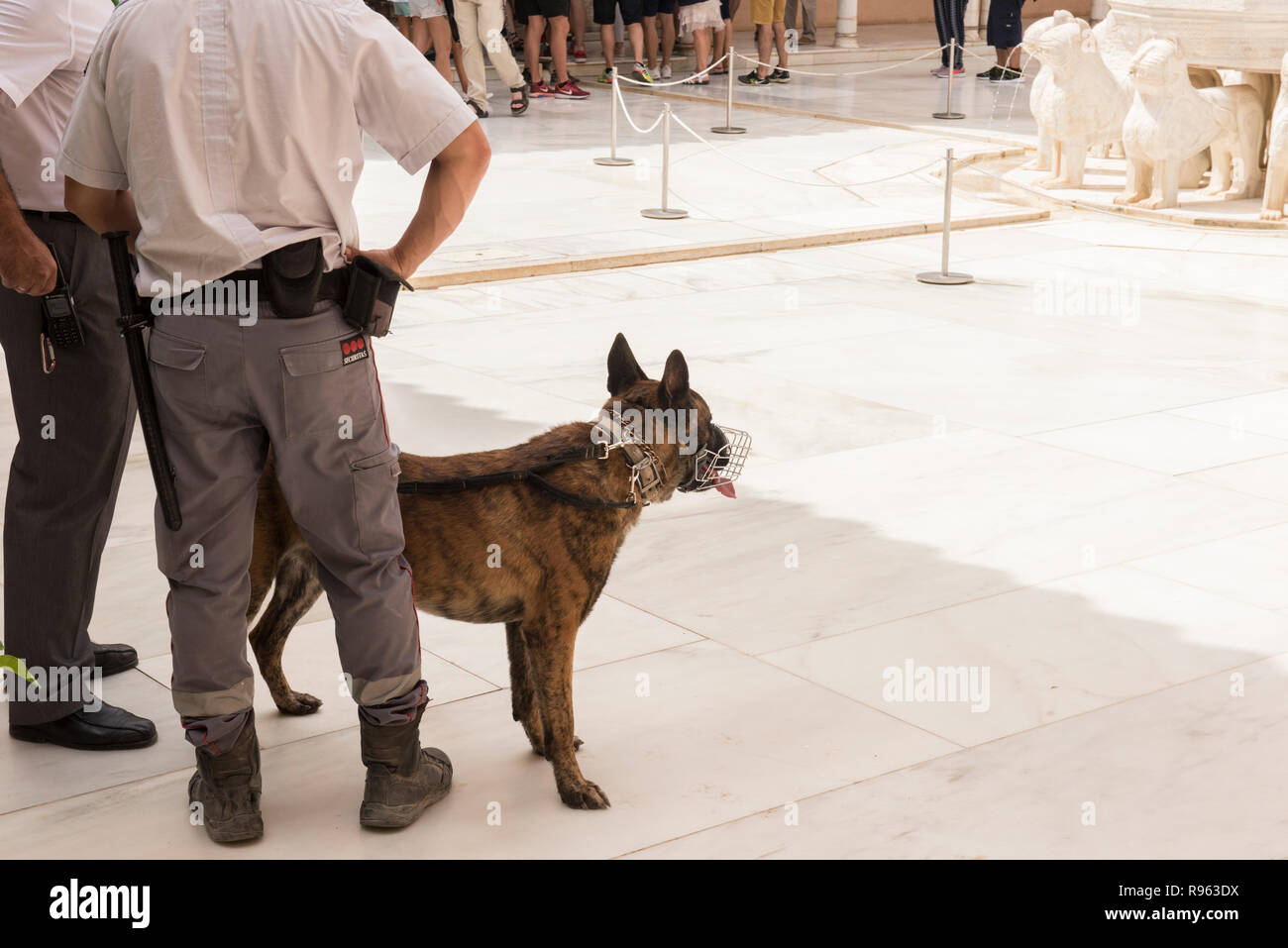 Two policemen standing inside Alhambra palace with a guard dog. On the ...