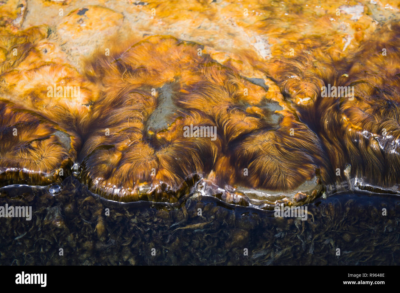 The Hotova National Park, Benje thermal baths, Lengarica River Canyon ...
