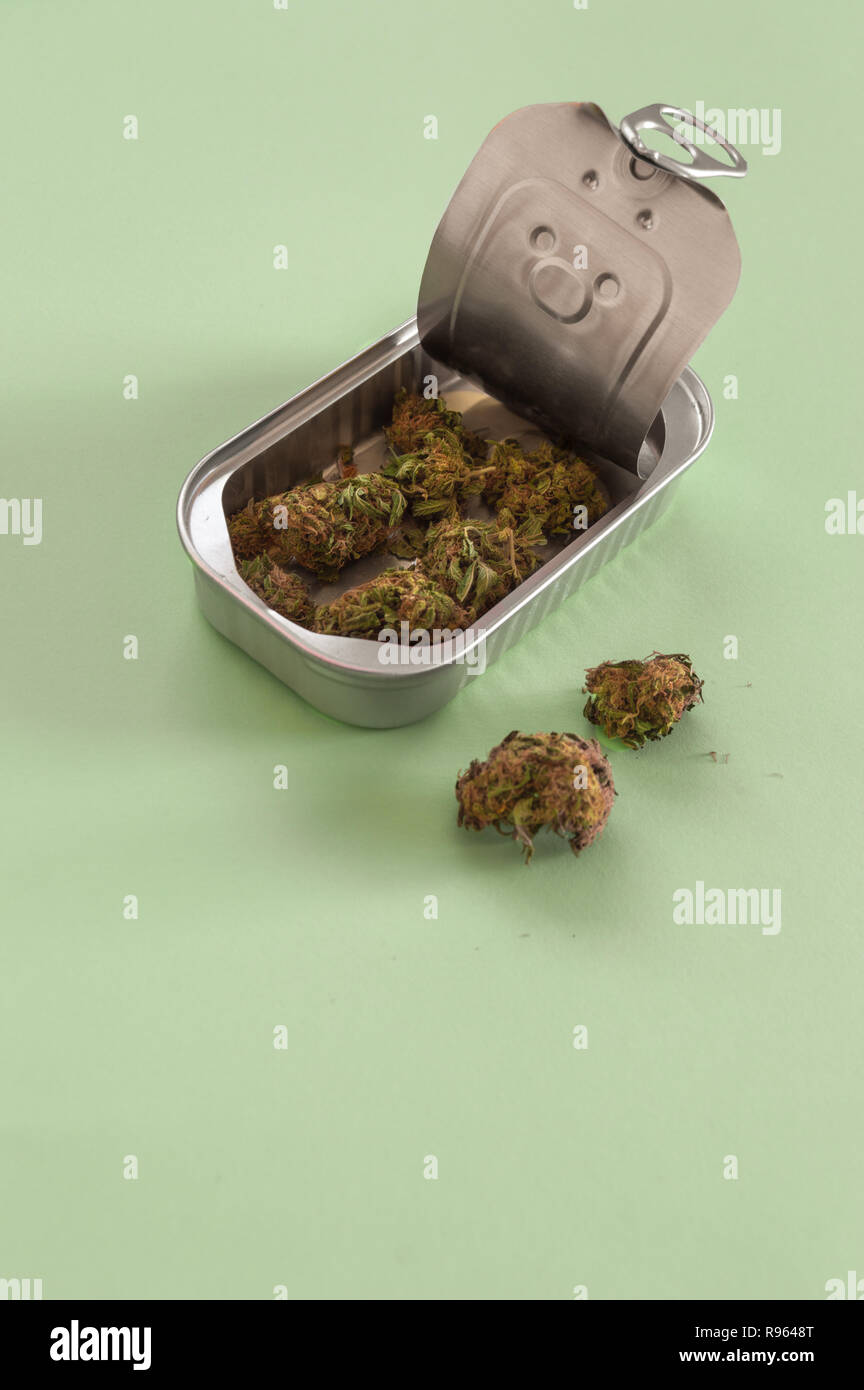 Tin can with high quality marijuana buds isolated on green background ...