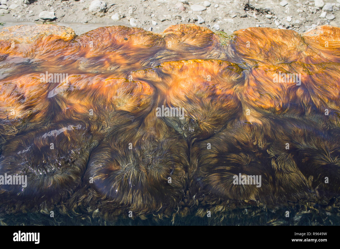 The Hotova National Park, Benje thermal baths, Lengarica River Canyon ...