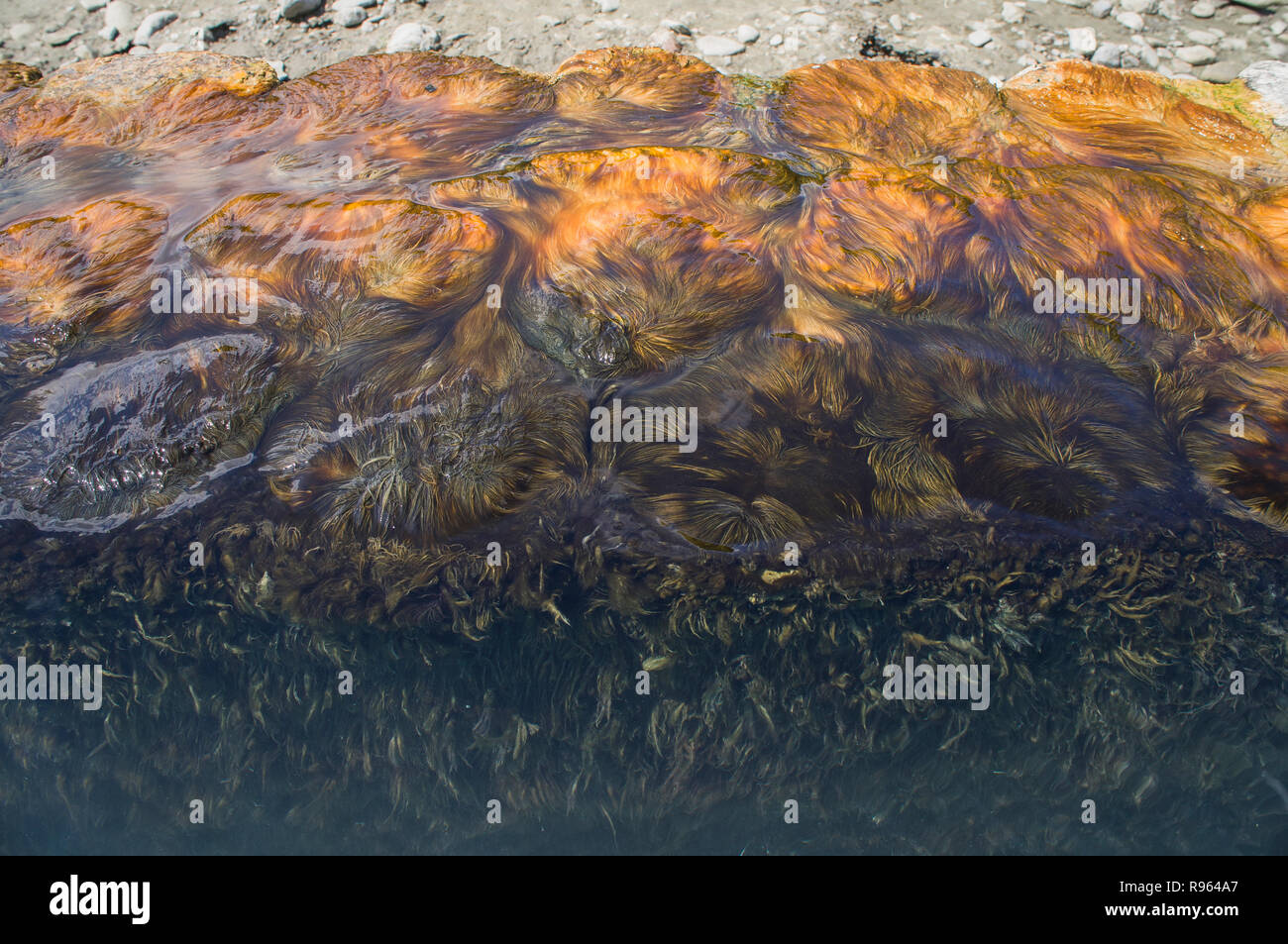 The Hotova National Park, Benje thermal baths, Lengarica River Canyon ...