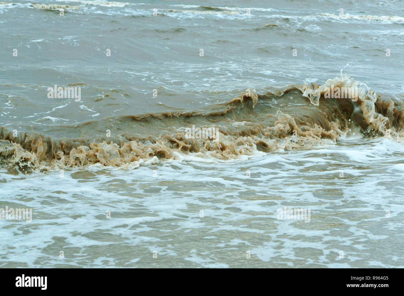 green sea wave, small wave with white foam Stock Photo - Alamy