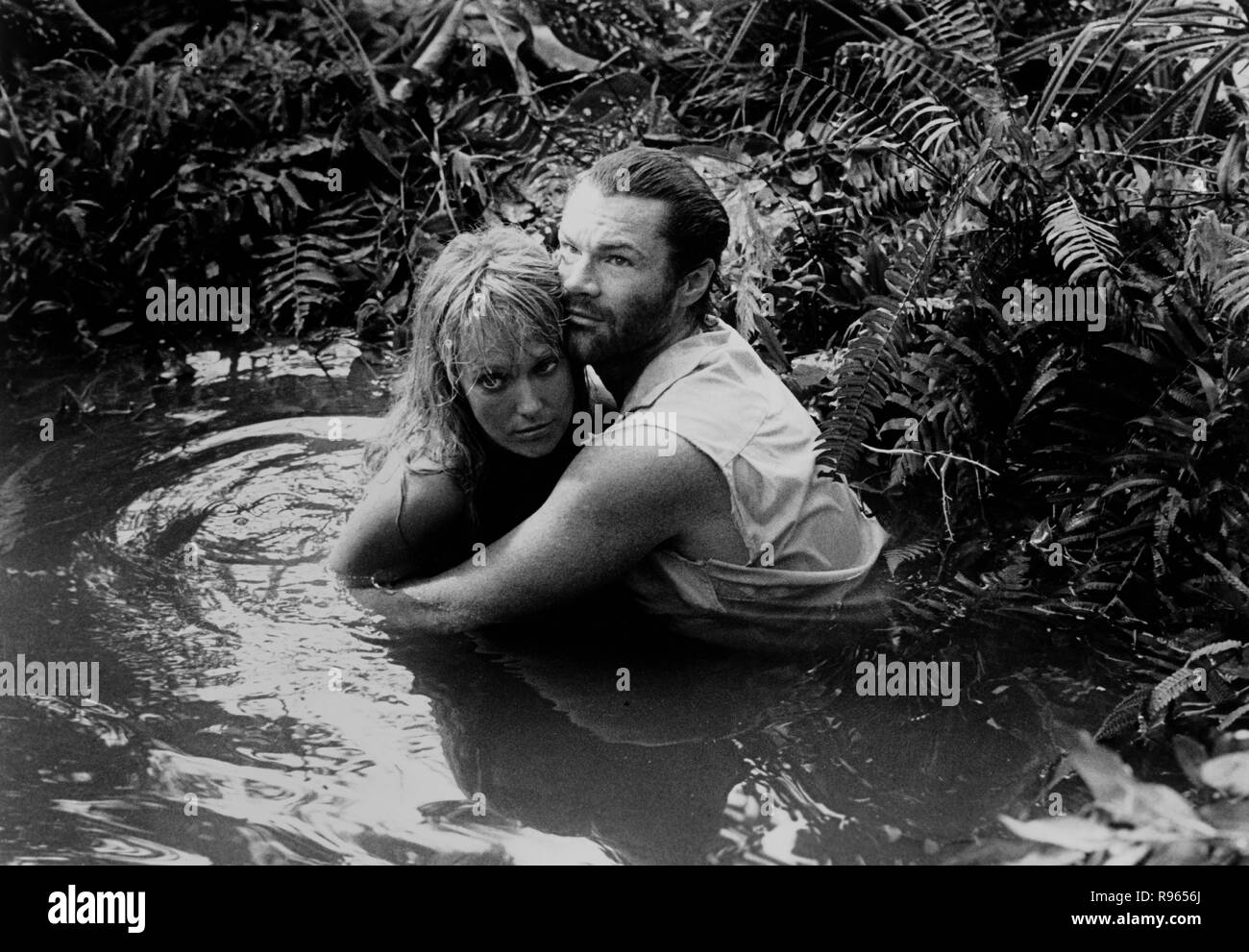 Kathy Showers's Instagram, Twitter & Facebook on IDCrawl