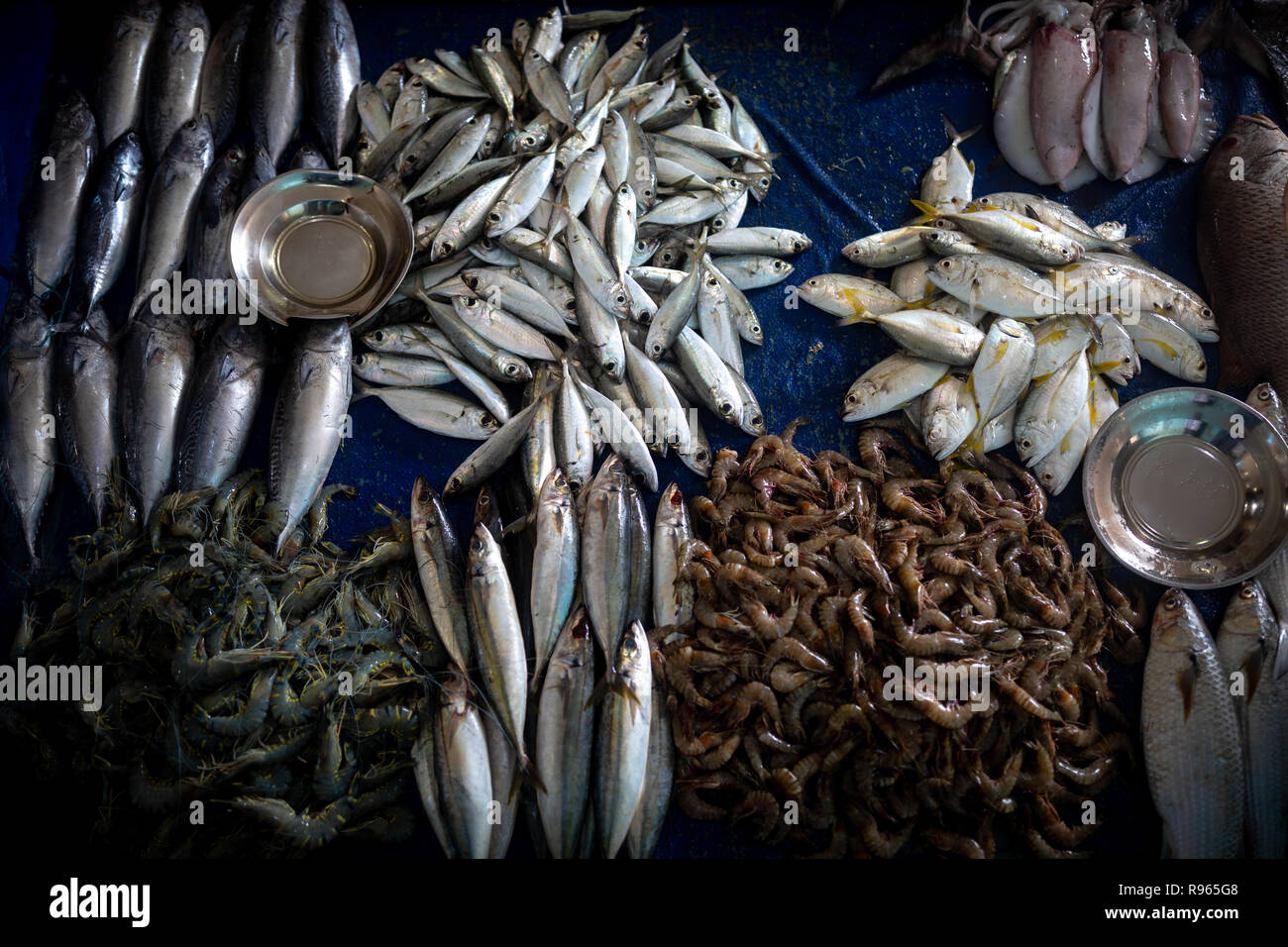Fish market Trincomalee Sri Lanka Stock Photo - Alamy