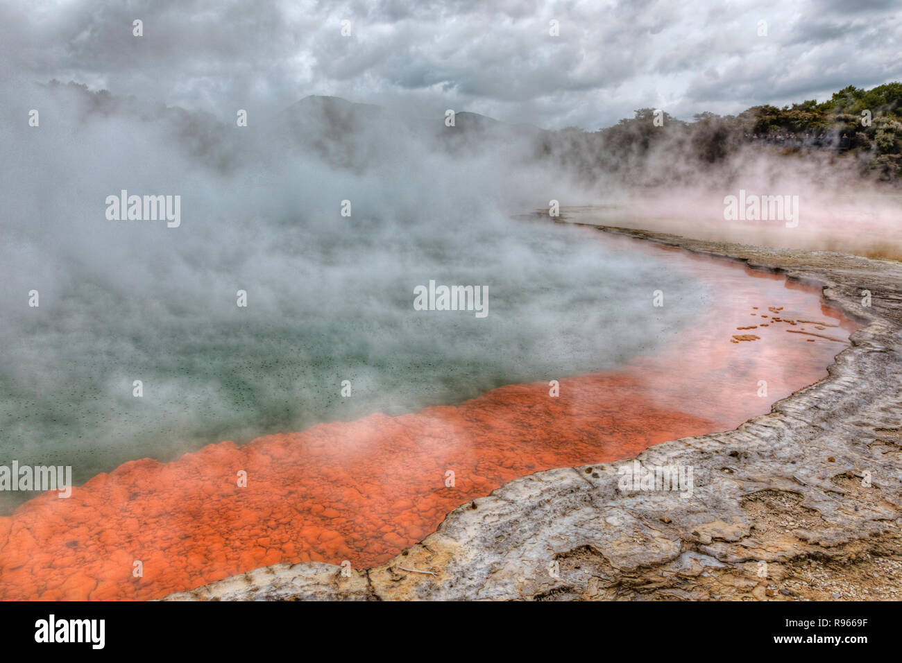 Tapu bay new zealand hi-res stock photography and images - Alamy