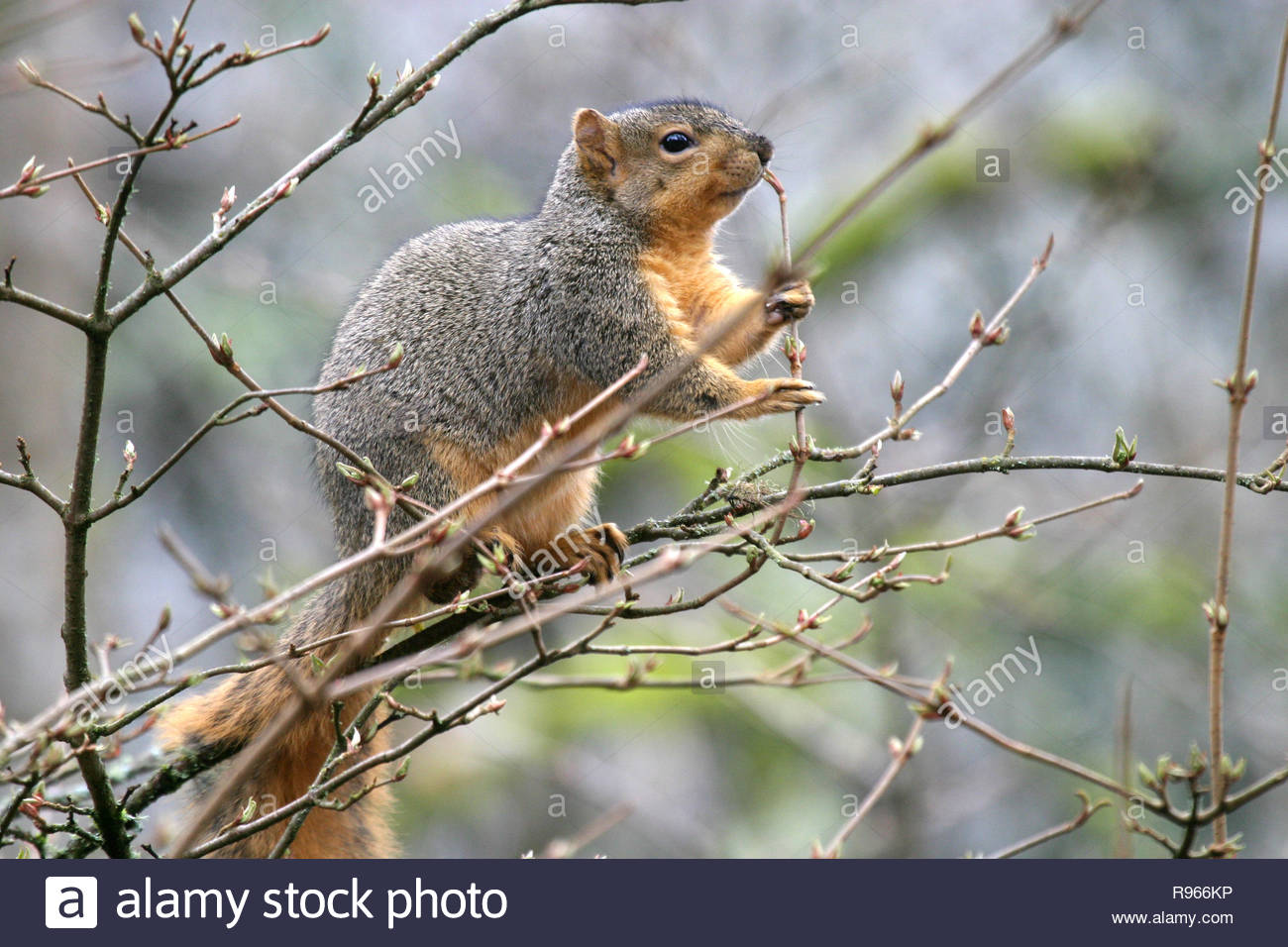 Tributaries Stock Photos & Tributaries Stock Images - Alamy