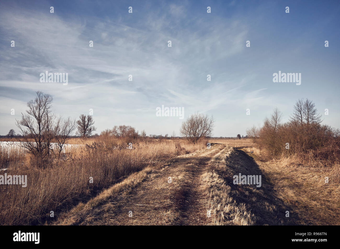 Rural landscape with a path, color toned picture Stock Photo - Alamy