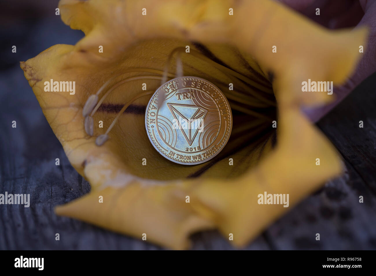 Lily flower market hi-res stock photography and images - Alamy
