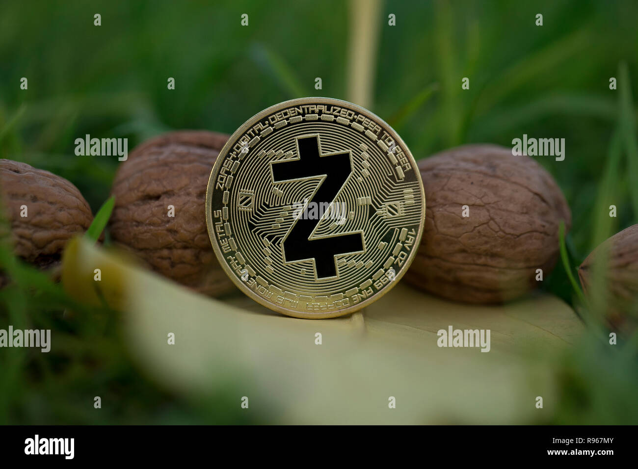Zec hi-res stock photography and images - Alamy