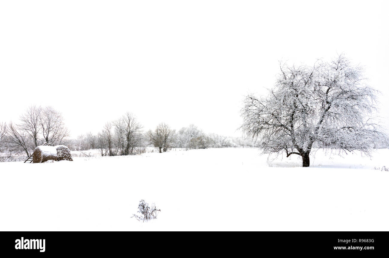 Field sky tree landscape Cut Out Stock Images & Pictures - Alamy