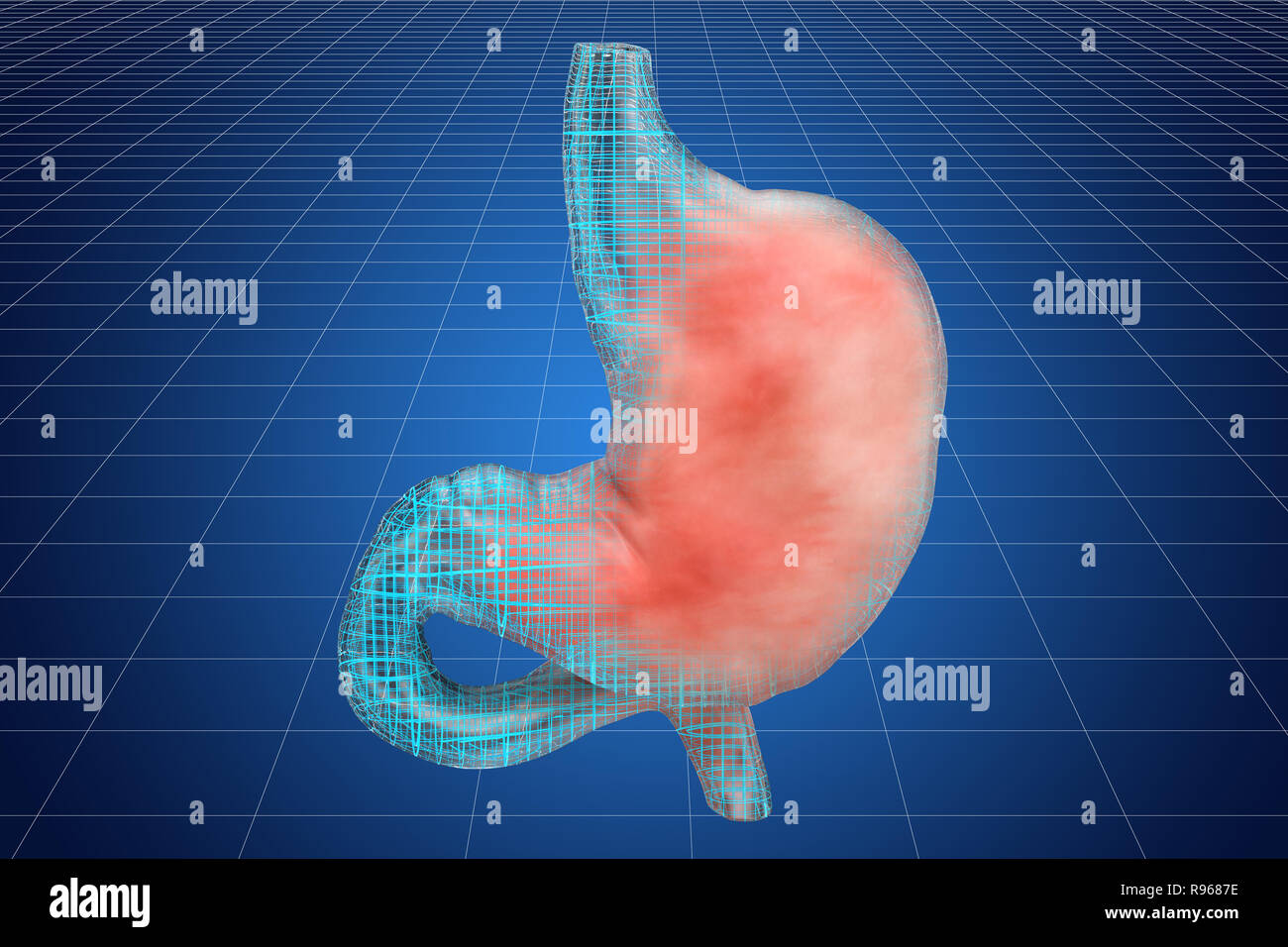 Visualization 3d cad model of human stomach, 3D rendering Stock Photo ...