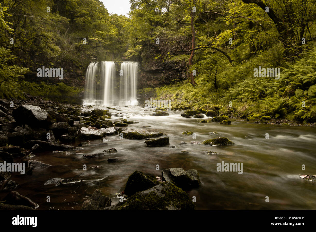 Waterfall scene with green trees / Background image of a waterfall ...