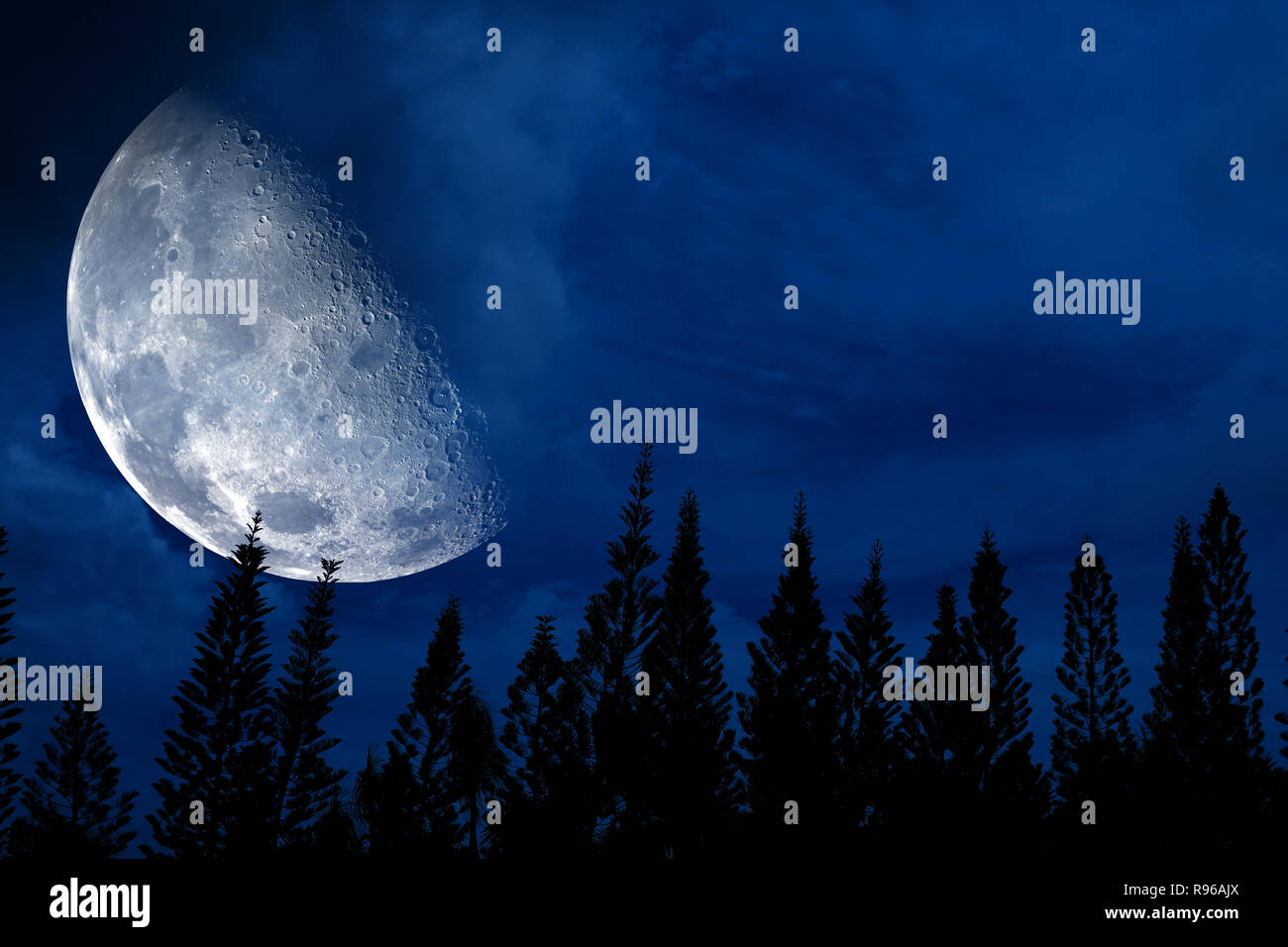 half moon back silhouette pine in dark night sky, Elements of this ...
