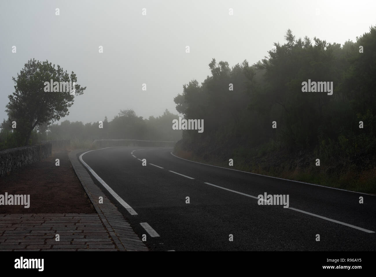Asphalt road leaving into the distance. Morning fog Stock Photo - Alamy