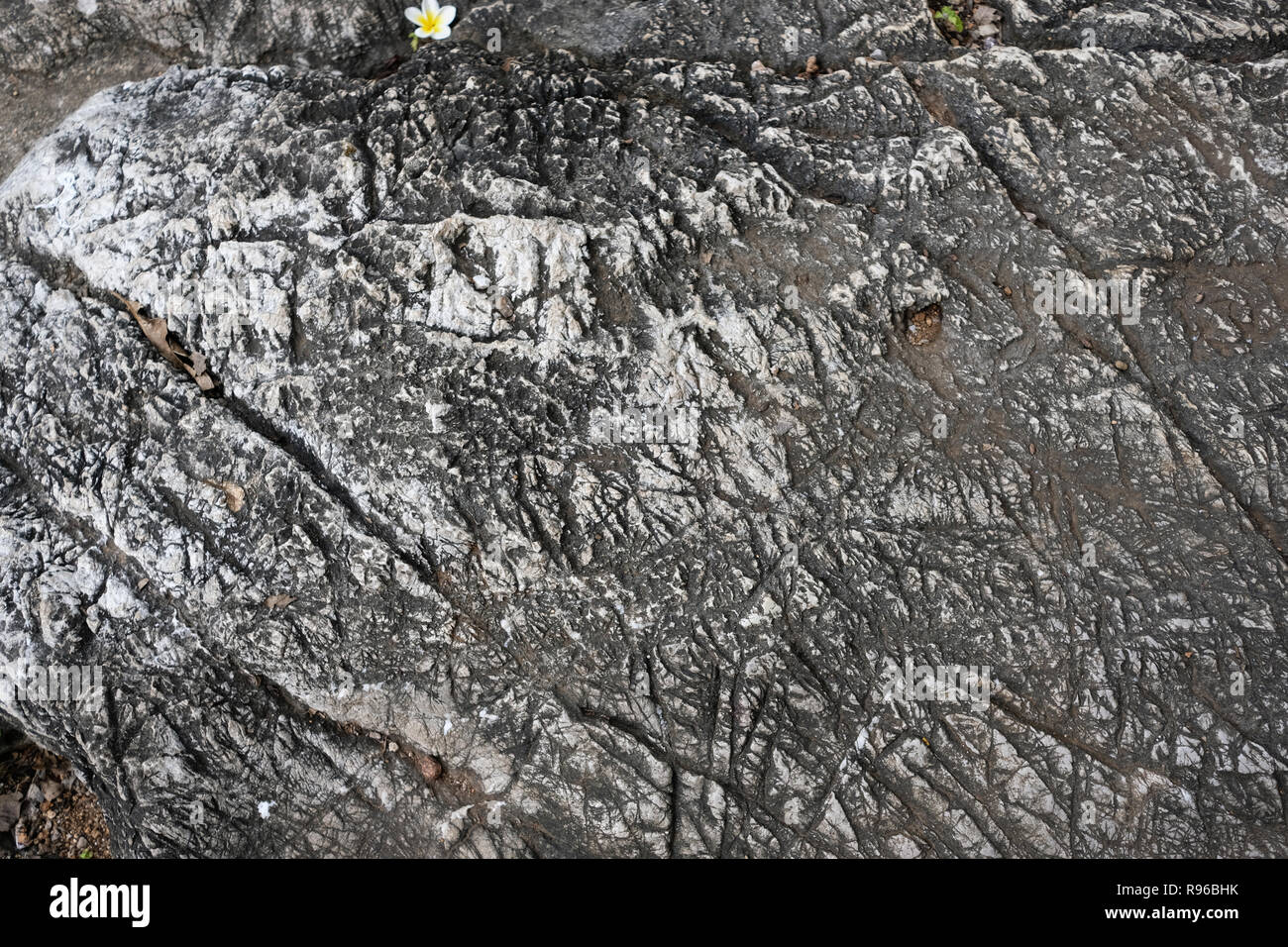Lava stone texture hi-res stock photography and images - Alamy