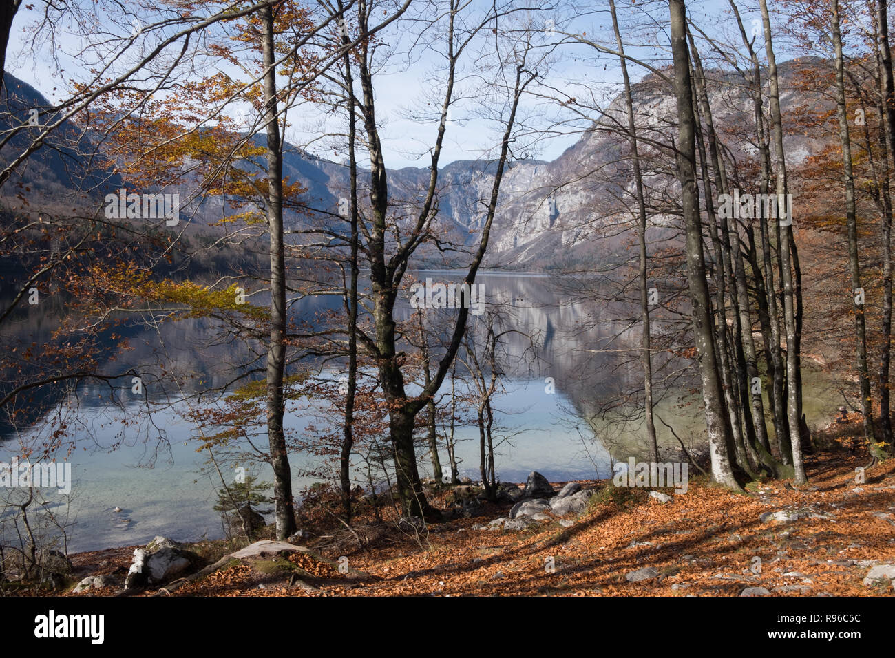 Slovenian fall scenery on lake Bohinj Stock Photo - Alamy
