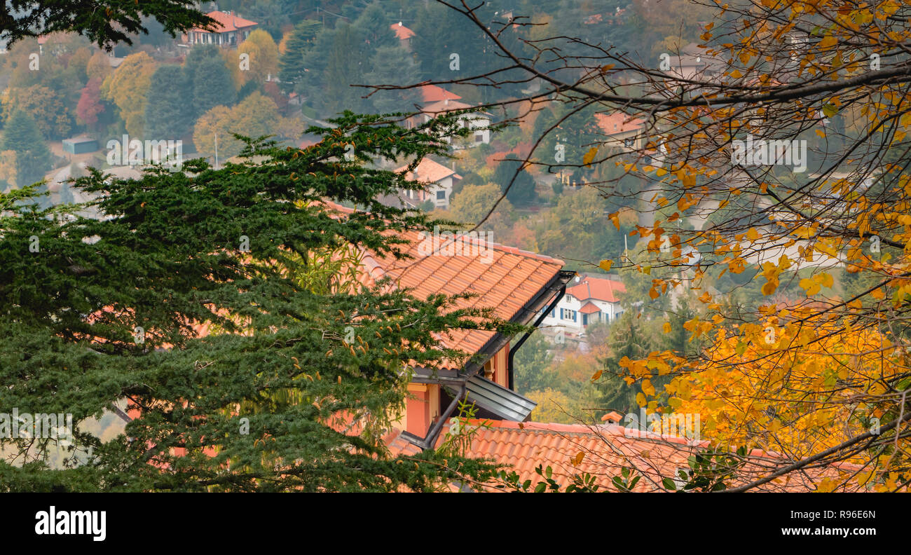 typical tree on the heights of Como in Italy overlooking the lake Stock ...