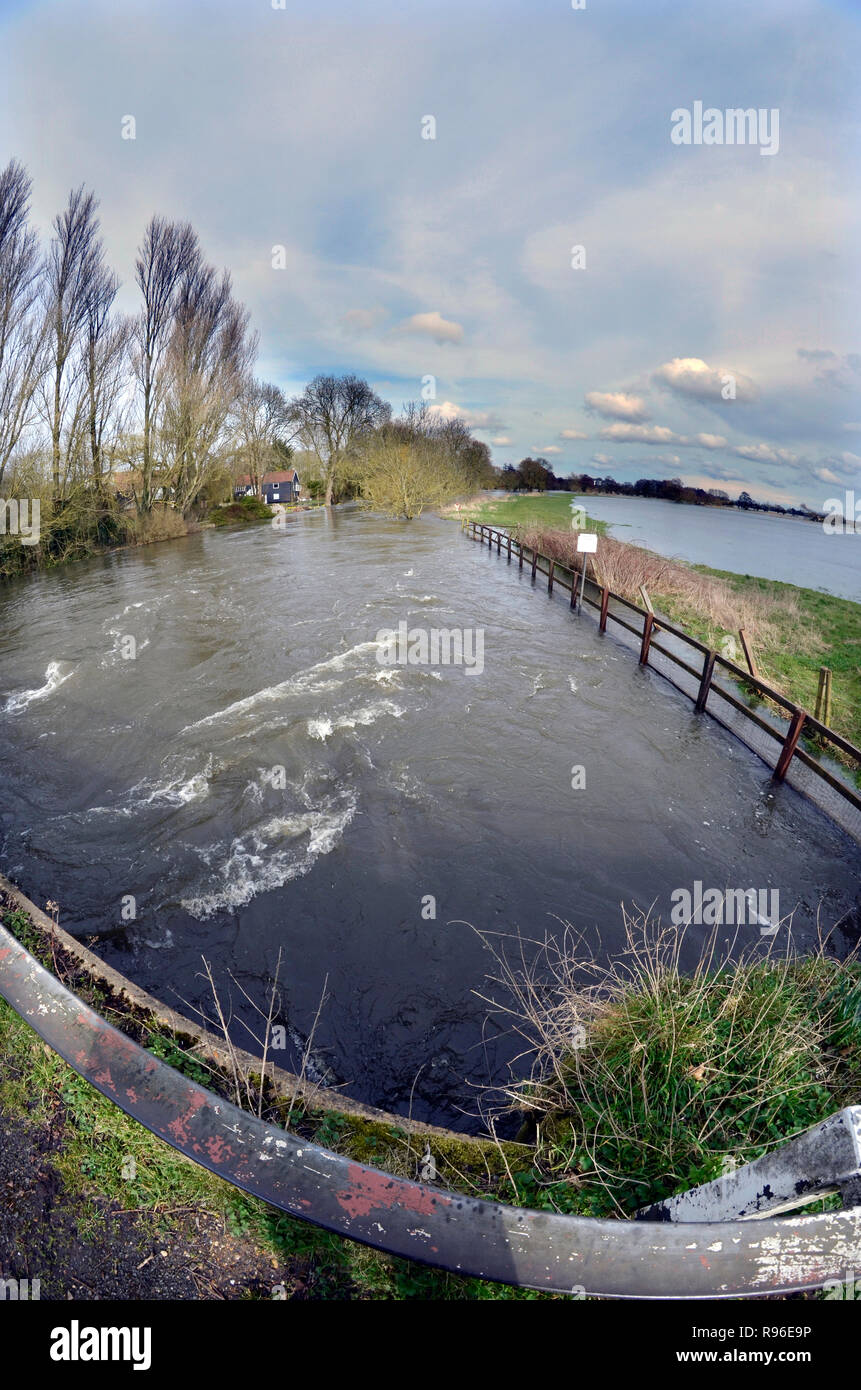 overflowing flooding river, ellingham, norfolk suffolk border, england ...