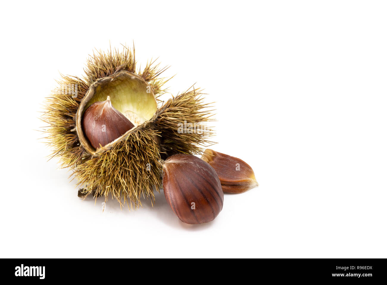 Inside the seeds Cut Out Stock Images & Pictures - Alamy