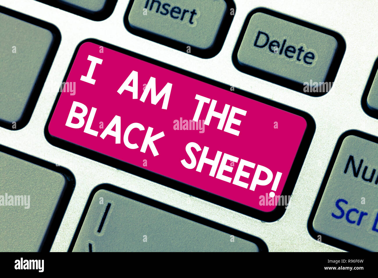 Text sign showing I Am The Black Sheep. Conceptual photo Different from ...