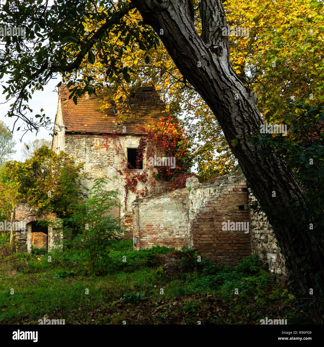 Old abandoned house and yard in Sopron, Hungary, in autumn / fall. The ...
