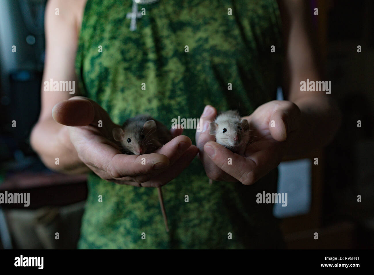 two little rats into strong caring men in the hands of military ...