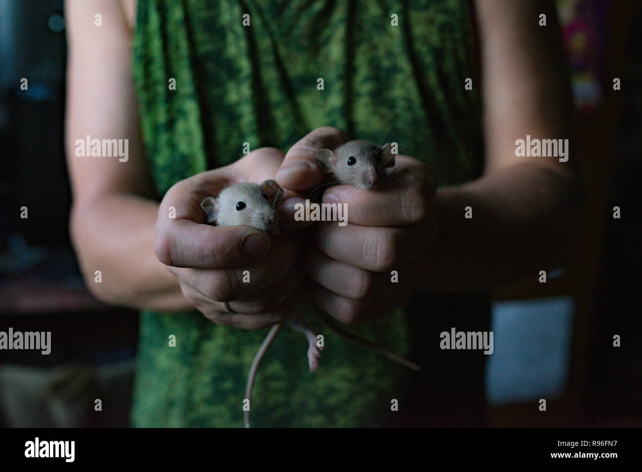 two little rats into strong caring men in the hands of military ...