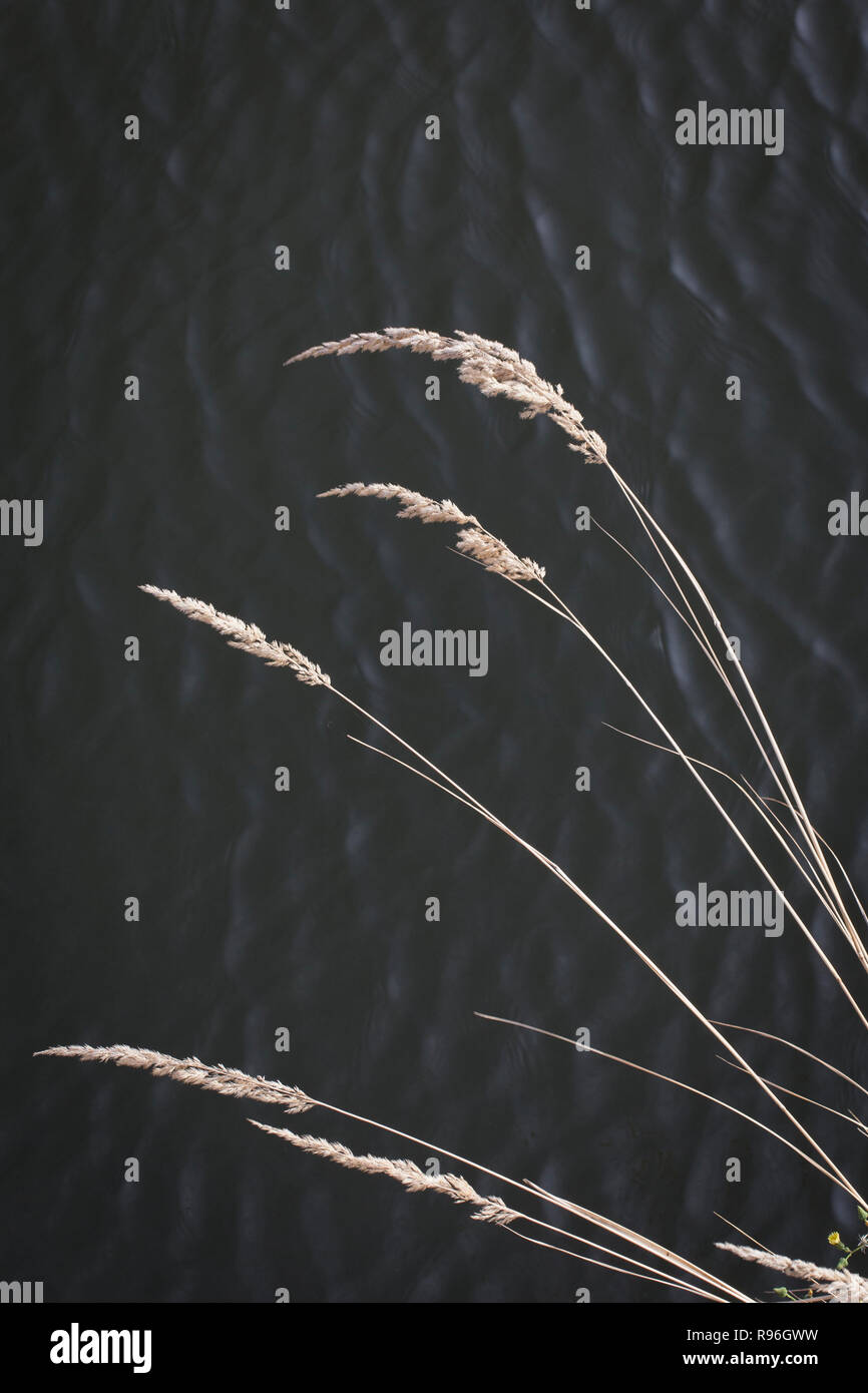Inspirational poetry hi-res stock photography and images - Alamy