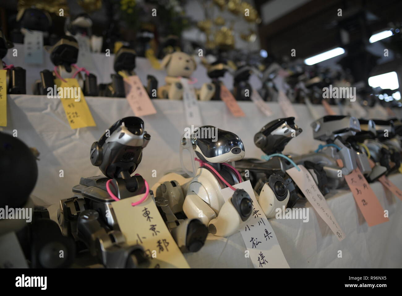 Chiba, Japan - December 20, 2018: Sony's pet robot AIBO are lined up in ...