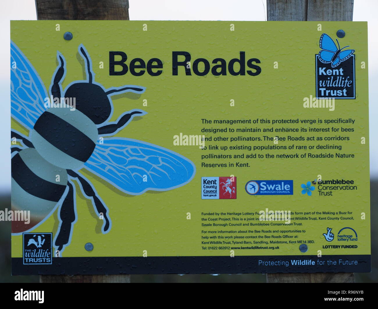 Kent wildlife trust bee roads hi-res stock photography and images - Alamy