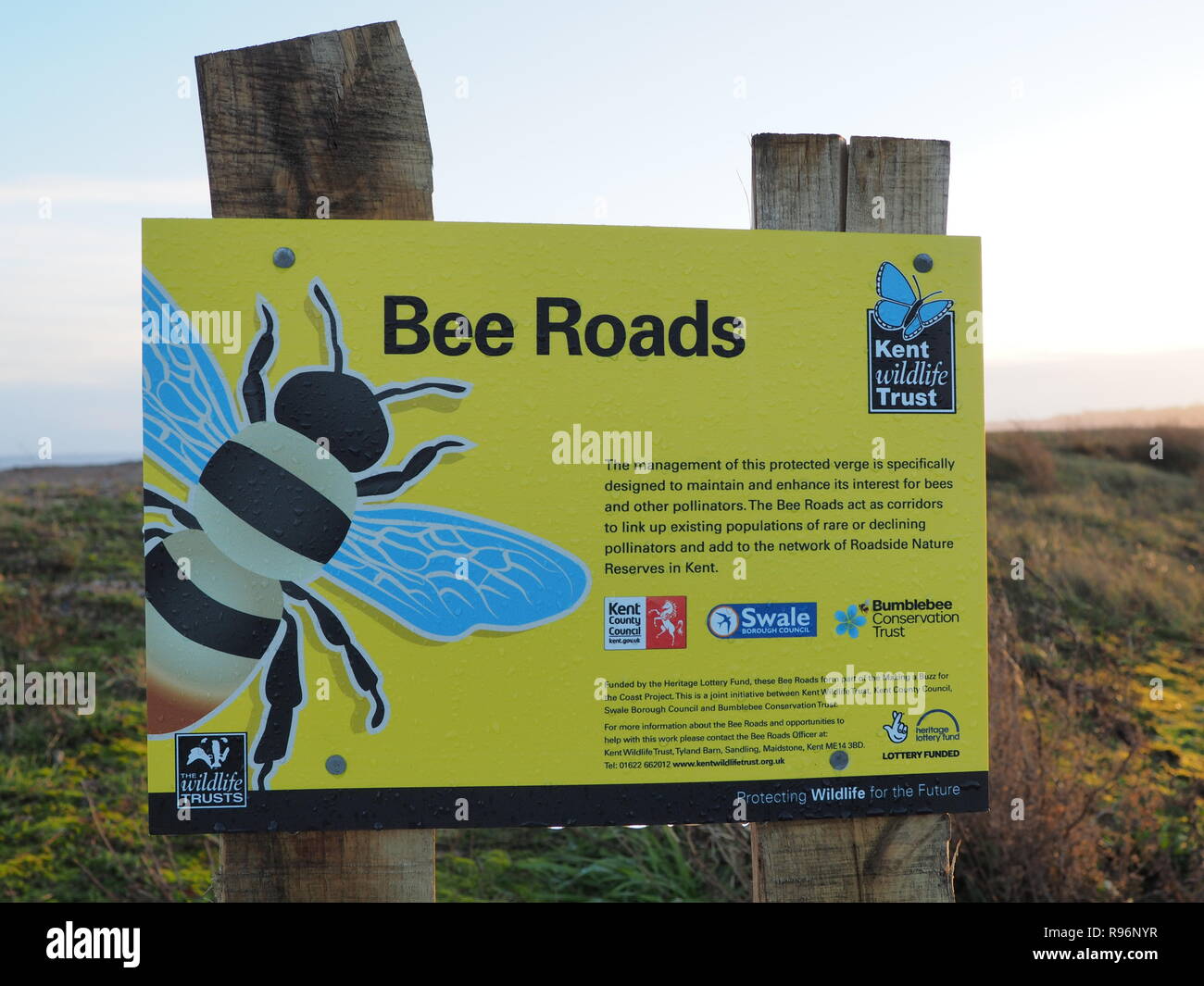 Swale borough council hi-res stock photography and images - Alamy