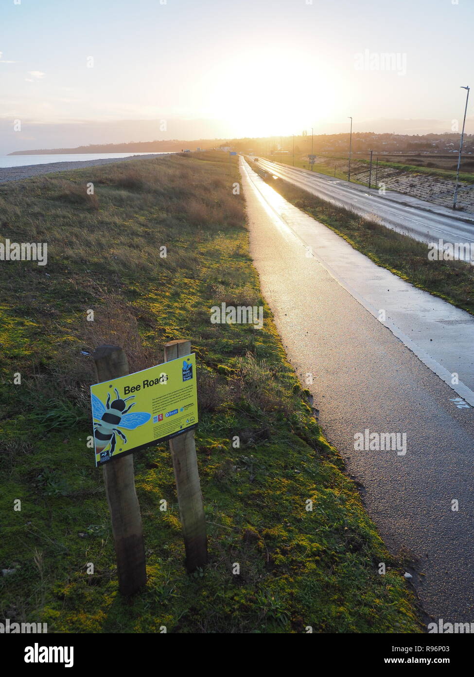 Kent wildlife trust bee roads hi-res stock photography and images - Alamy