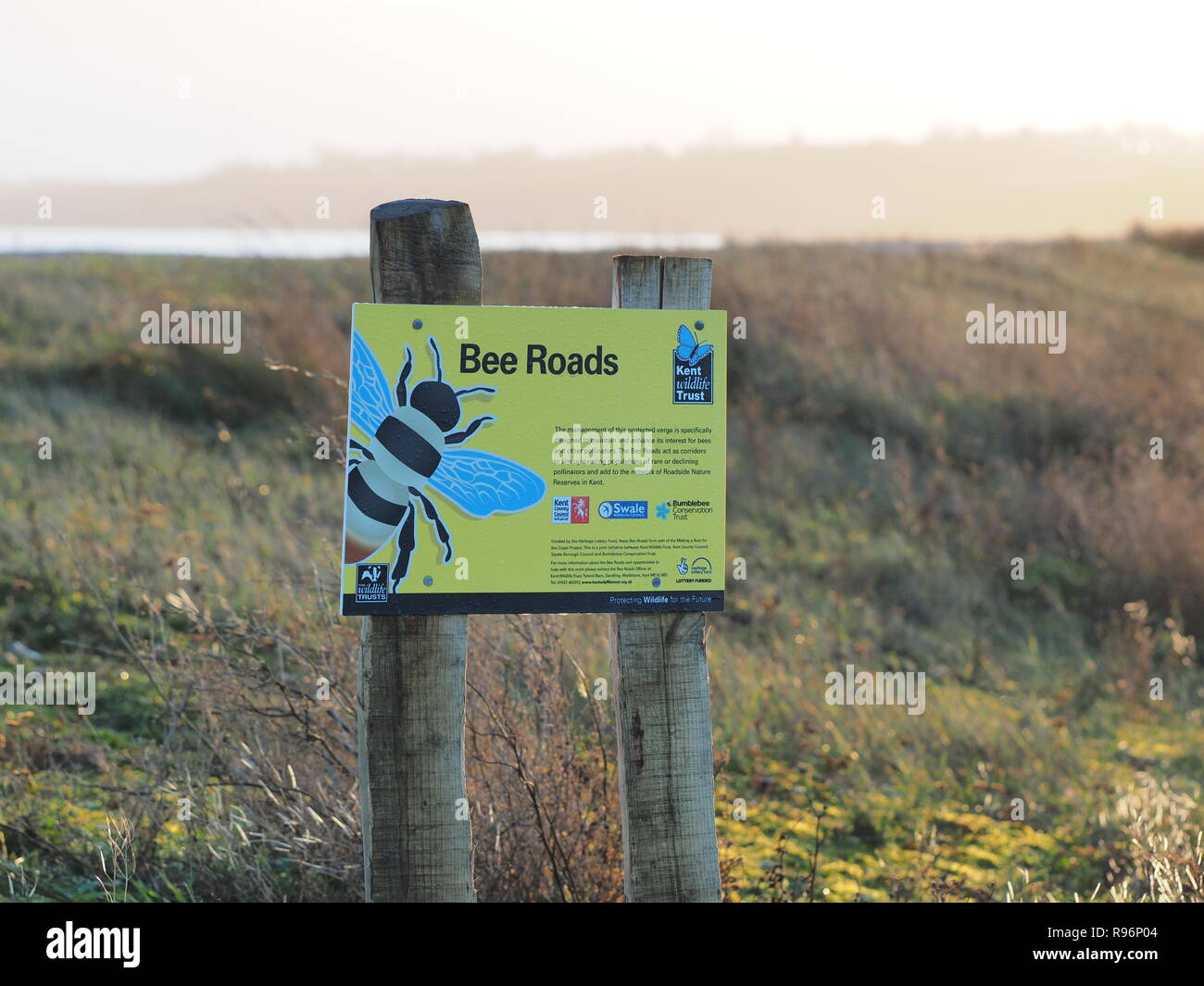 Roadside nature reserves hi-res stock photography and images - Alamy