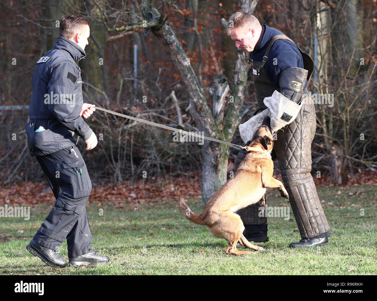 The false shepherd hi-res stock photography and images - Alamy