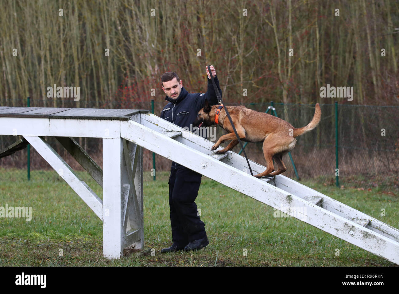 Martin scharf hi-res stock photography and images - Alamy