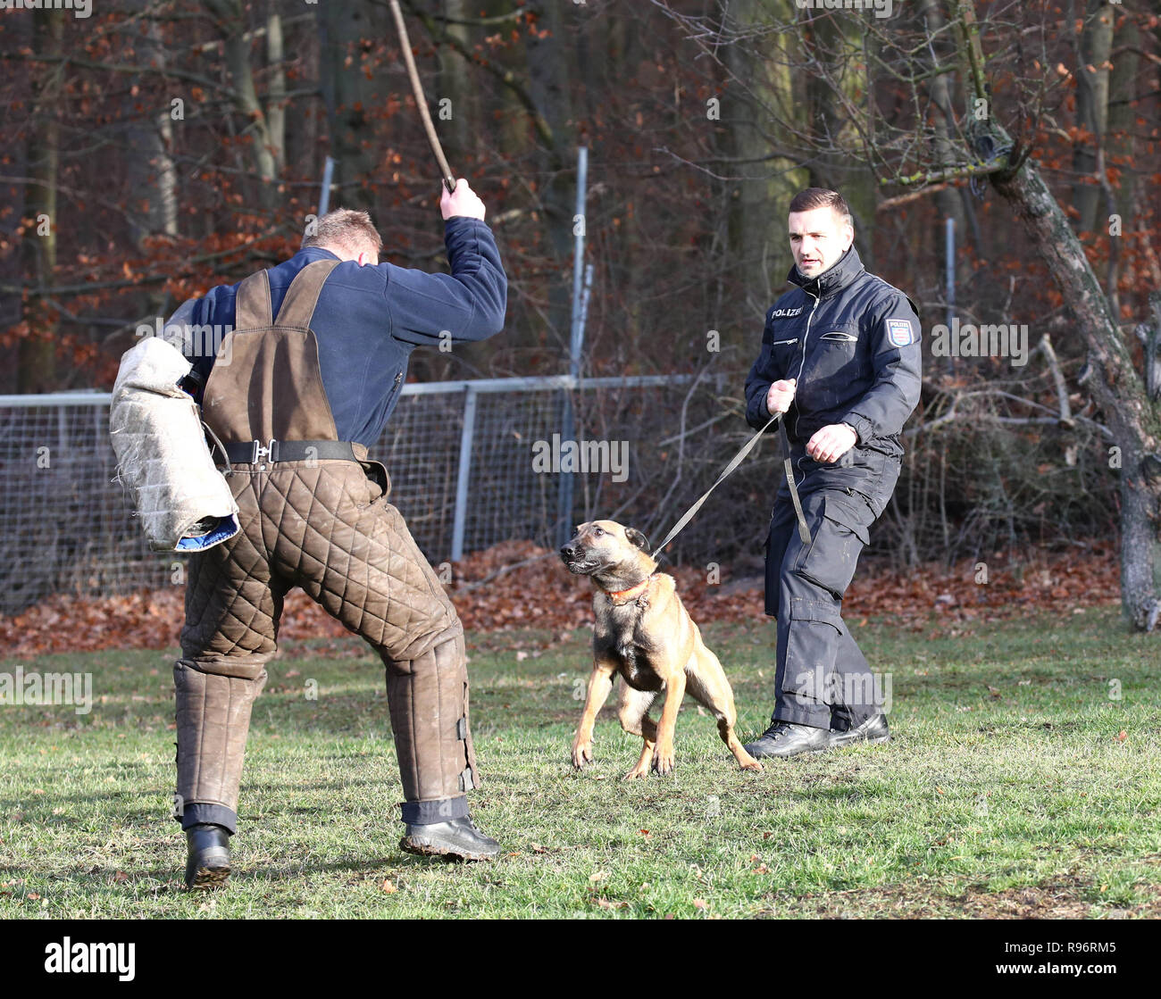 The false shepherd hi-res stock photography and images - Alamy