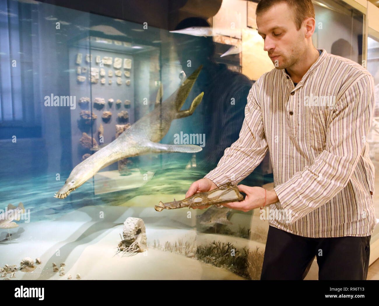 Erfurt, Germany. 20th Dec, 2018. Taxidermist Sebastian Brandt shows the ...