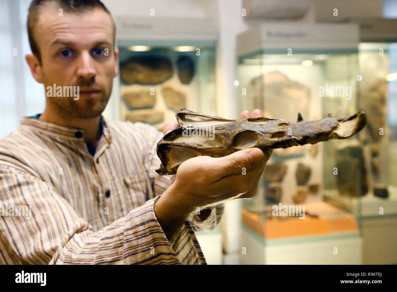 Nothosaurus hi-res stock photography and images - Alamy