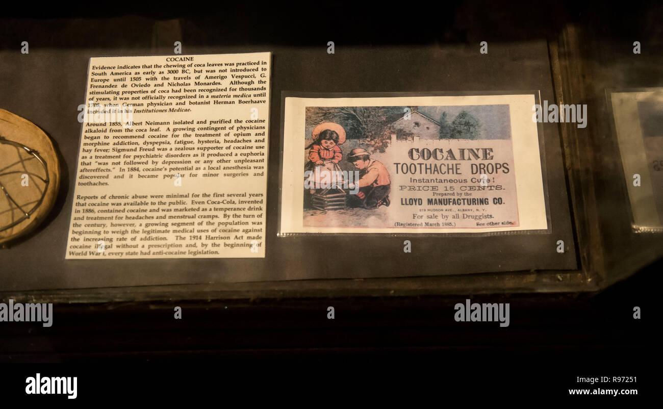 New Orleans, Louisiana, USA. 20th Dec, 2018. Louis Dufilho, America's ...