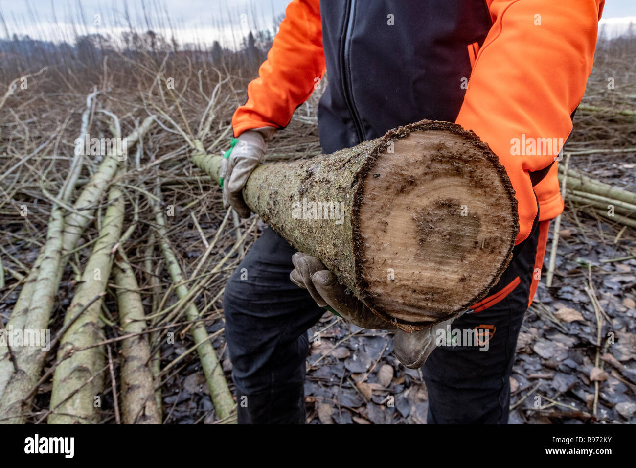 Short rotation period hi-res stock photography and images - Alamy