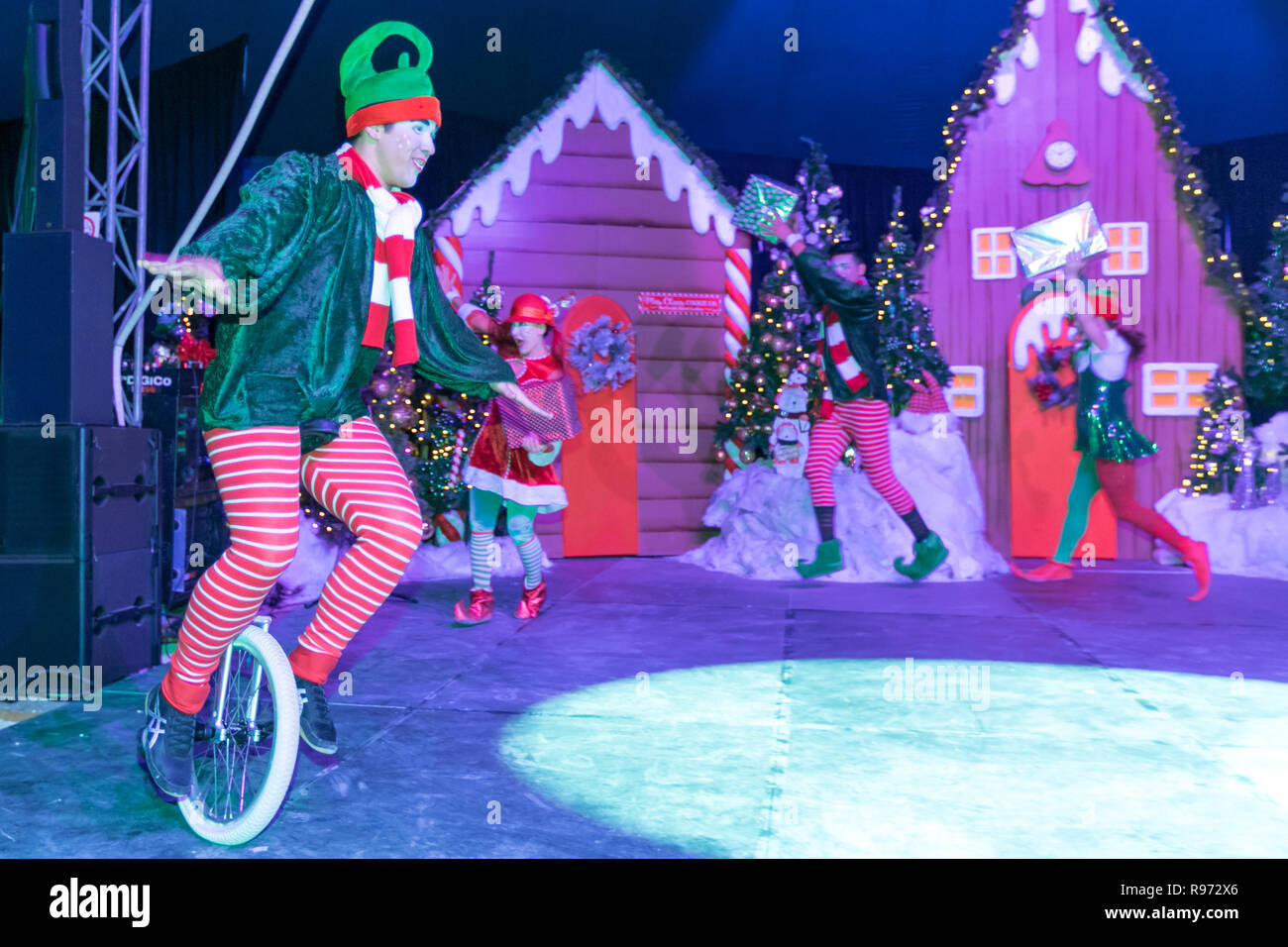 Monkey jungle miami zoo hi-res stock photography and images - Alamy