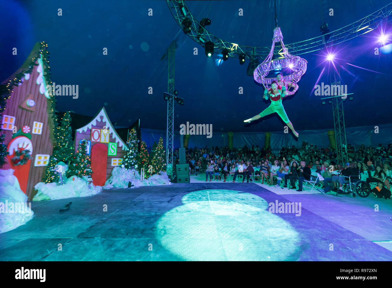 Monkey jungle zoo florida hi-res stock photography and images - Alamy