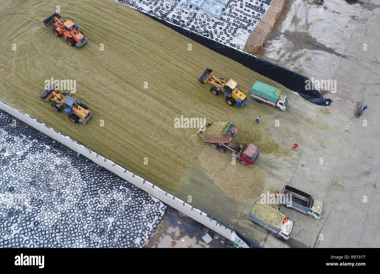 Fodder production hi-res stock photography and images - Alamy