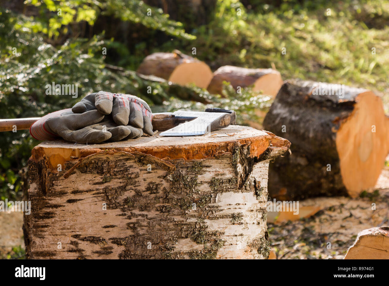 Chopping block axe hi-res stock photography and images - Alamy