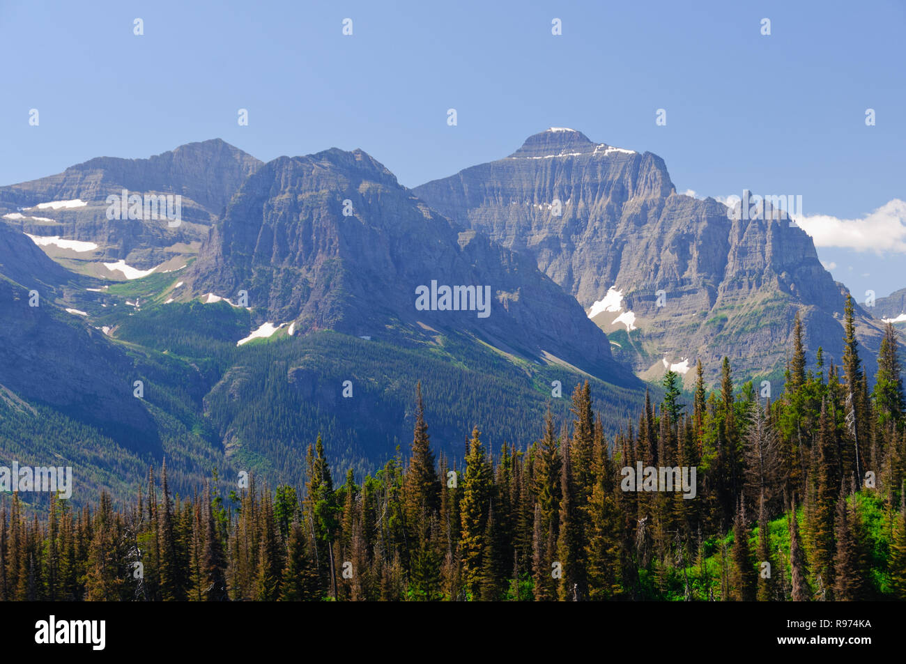 Little Chief Mountain from the Lake Okatomi Trail Stock Photo - Alamy