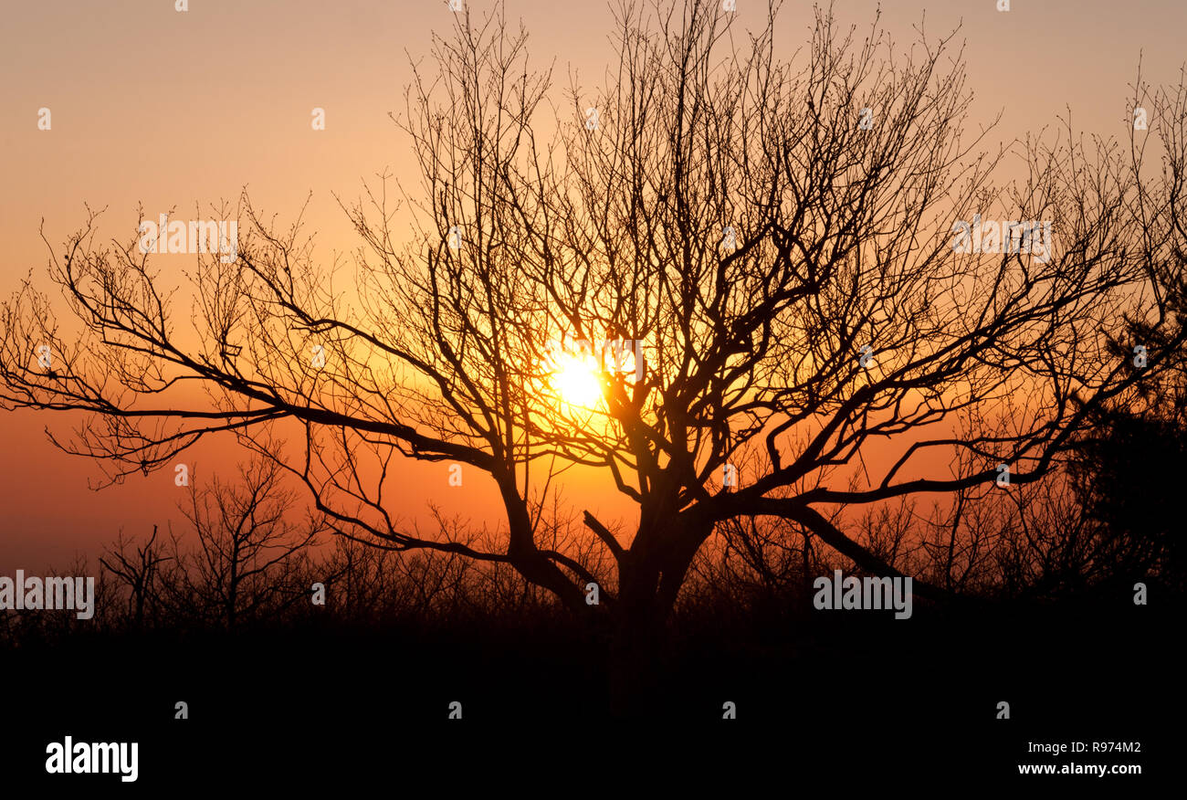 Sunset from Gregory Bald in the Smoky Mountains Stock Photo - Alamy