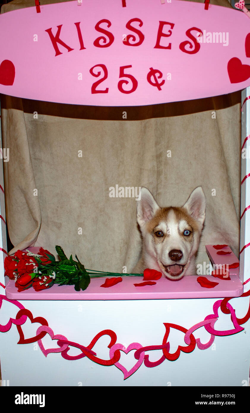 Kissing booth hi-res stock photography and images - Alamy