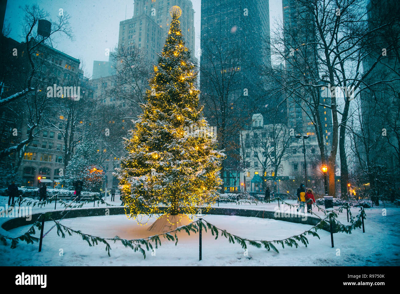 Winter evening view of the glowing lights of a Christmas tree ...