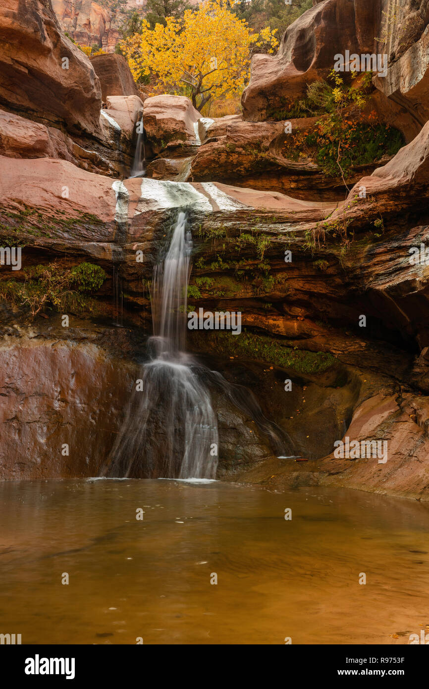 The fall zion national park hi-res stock photography and images - Alamy