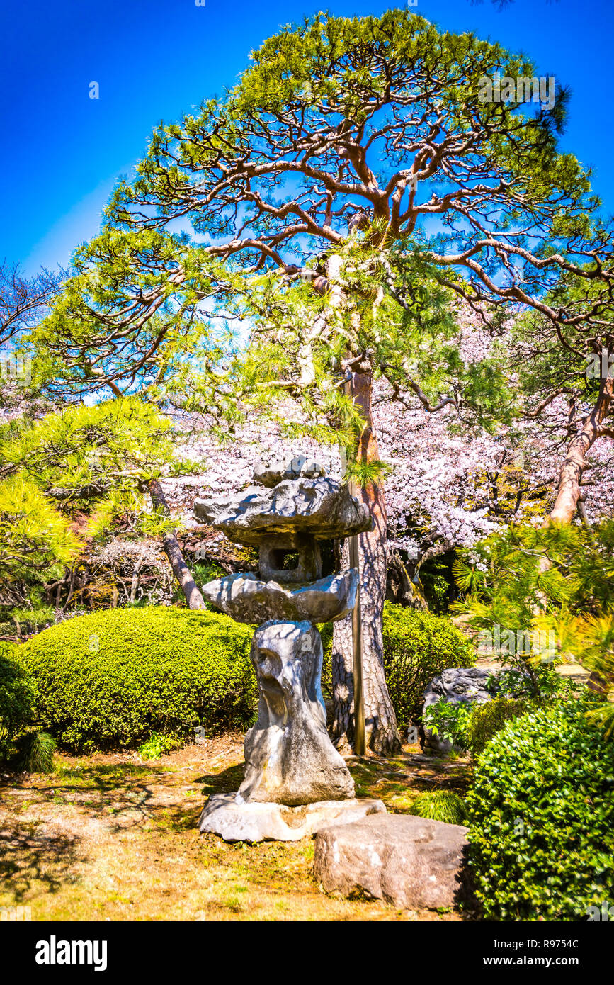 Shinjuku Gyoen National Garden Tokyo Stock Photo - Alamy